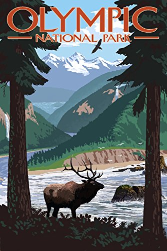 Olympic National Park, Washington, Grand Valley, Elk (9x12 Wall Art Print, Home Decor)