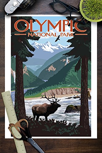 Olympic National Park, Washington, Grand Valley, Elk (9x12 Wall Art Print, Home Decor)
