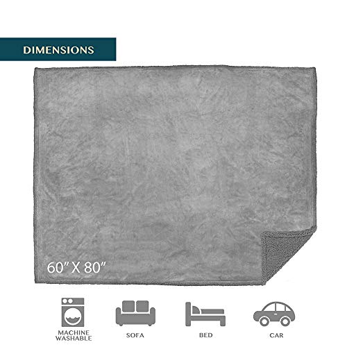 PAVILIA Waterproof Blanket for Couch, Sofa | Waterproof Dog Blanket for Large Dog, Puppy, Cat | Pet Blanket Protector | Plush Soft Warm Fuzzy Sherpa Blanket Bed Throw, Light Grey, 60x80