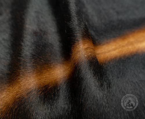 Genuine Black Dark Brown Backbone Cowhide Rug Size 6 x 7 - 8 ft. 180 x 240 cm