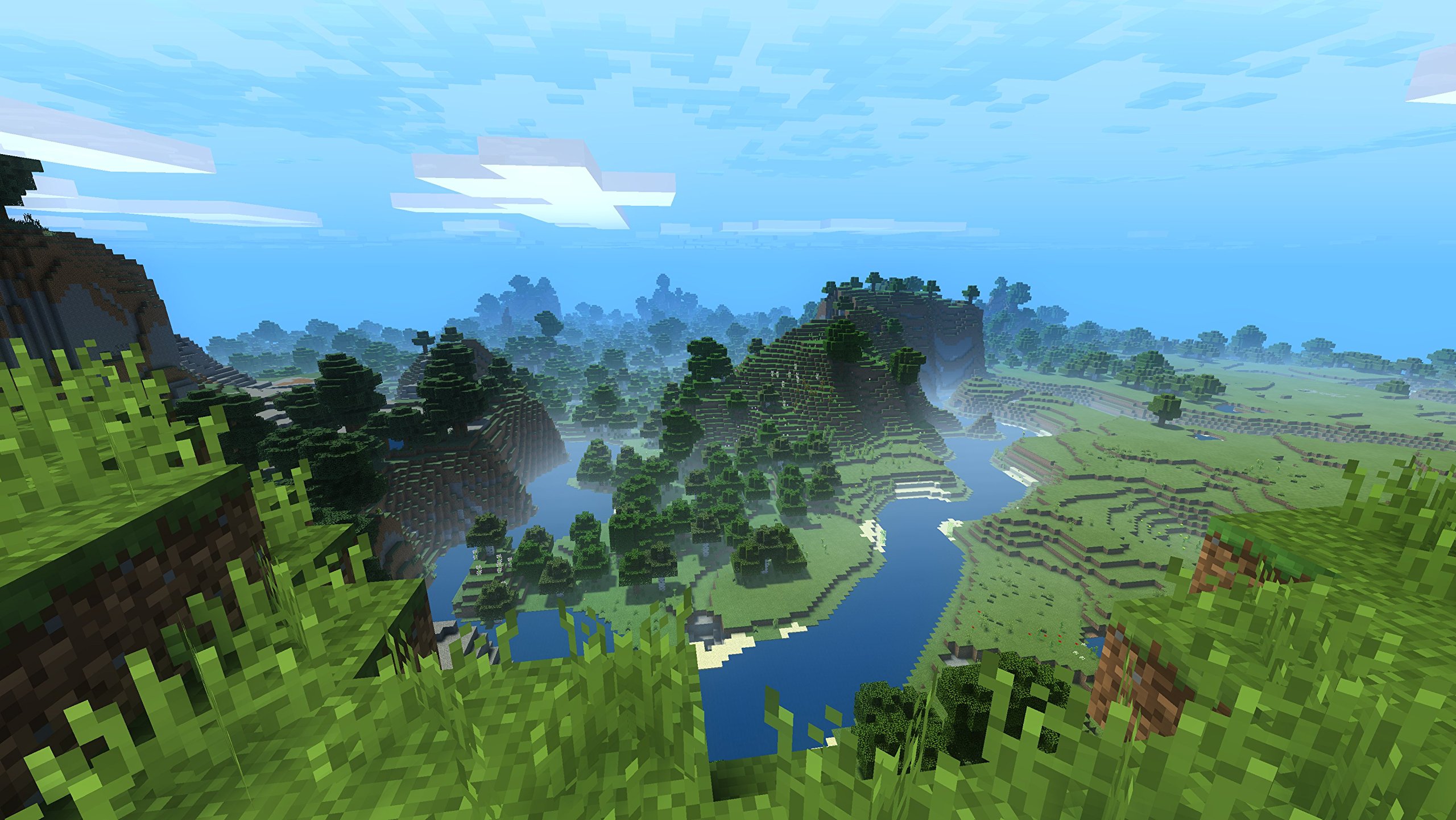 Minecraft: Switch Edition