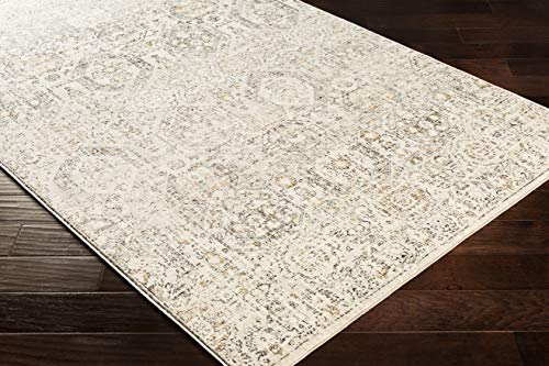 Artistic Weavers Aune Updated Traditional Area Rug 7'10" x 10'2",Grey