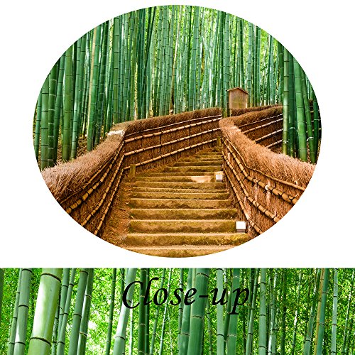 Kreative Arts Motivational Self Positive Office Quotes Inspirational Bamboo Growth Poster Canvas Prints Wall Art for Walls Decoration 20x24inch (Growth)