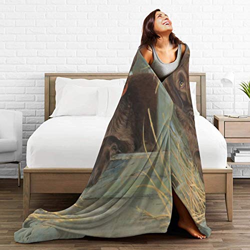 Yulimin Labrador Dog Lab Chocolate Cute Full Fleece Throw Cloak Wearable Blanket Nursery Bedroom Bedding Decor Decorations Queen King Size Flannel Fluffy Plush Soft Cozy Comforter Quilt