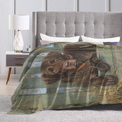 Yulimin Labrador Dog Lab Chocolate Cute Full Fleece Throw Cloak Wearable Blanket Nursery Bedroom Bedding Decor Decorations Queen King Size Flannel Fluffy Plush Soft Cozy Comforter Quilt
