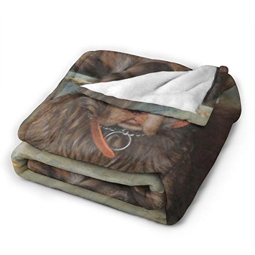 Yulimin Labrador Dog Lab Chocolate Cute Full Fleece Throw Cloak Wearable Blanket Nursery Bedroom Bedding Decor Decorations Queen King Size Flannel Fluffy Plush Soft Cozy Comforter Quilt