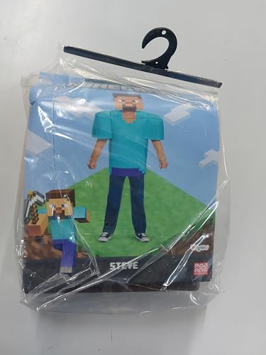 Steve Classic Minecraft Costume, Multicolor, Medium (7-8)