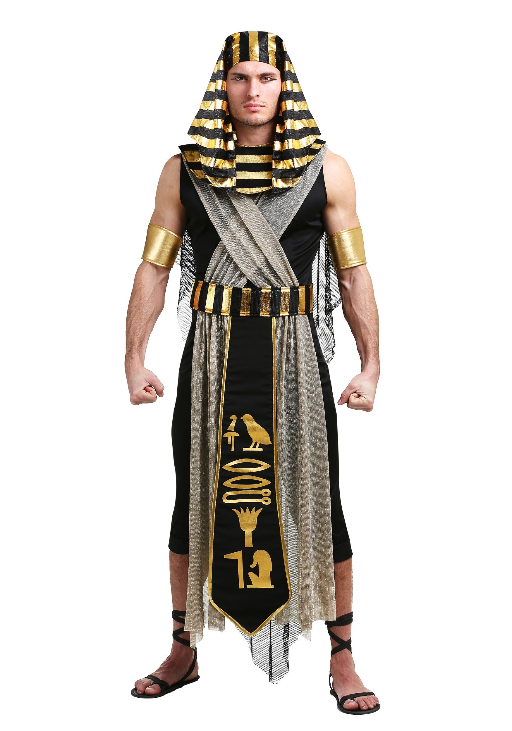 Adult All-Powerful Pharaoh Costume Plus Size Egyptian Pharaoh Costume 4X