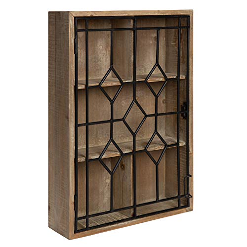 Kate and Laurel Megara Decorative Wooden Wall Hanging Curio Cabinet for Open Storage with Decorative Black Iron Door, Rustic Brown