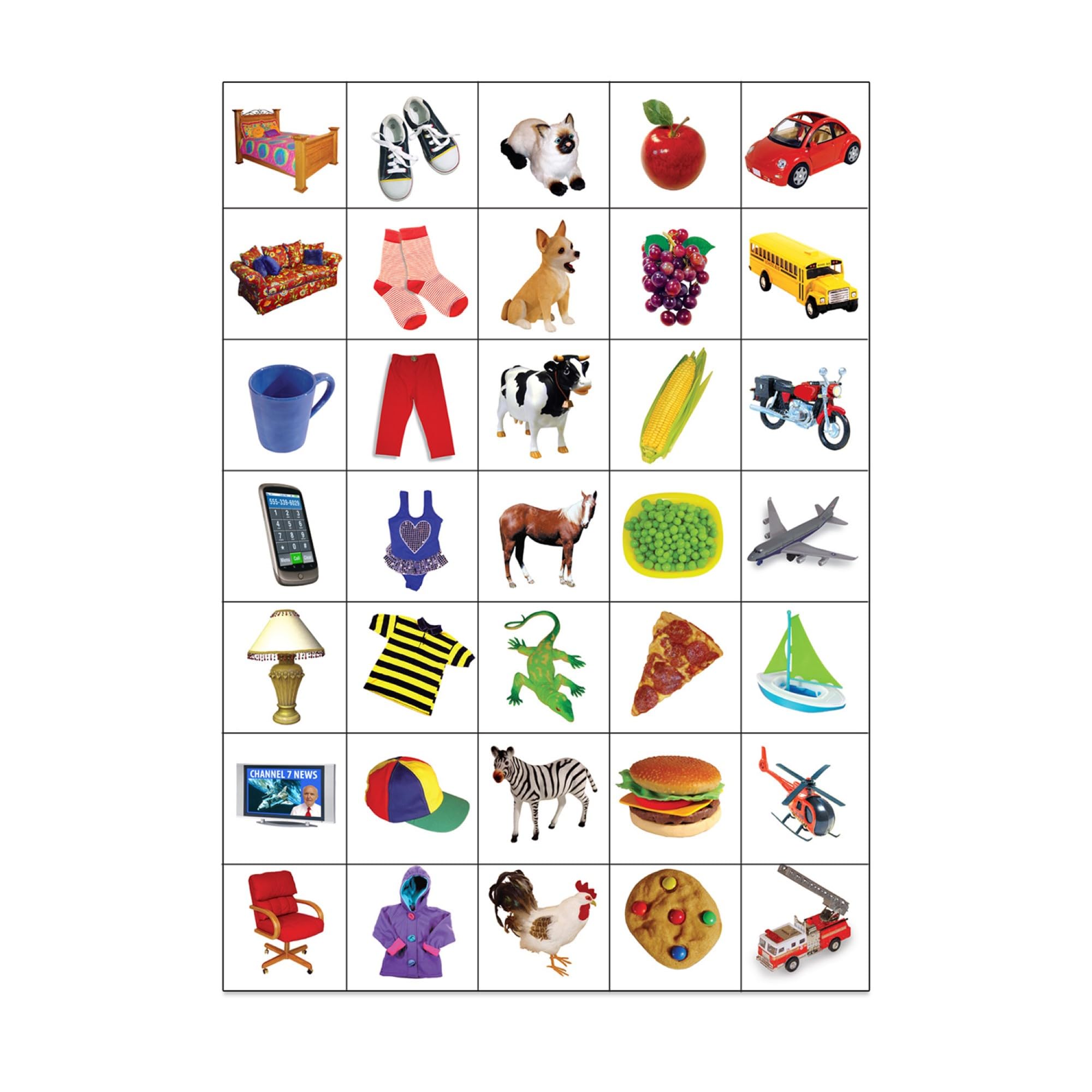 Super Duper Publications | Magnetic Early Classifying Board Game | Educational Learning Resource for Children