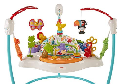 Fisher-Price Baby Bouncer Animal Activity Jumperoo With Music Lights Sounds And Developmental Toys For Infants