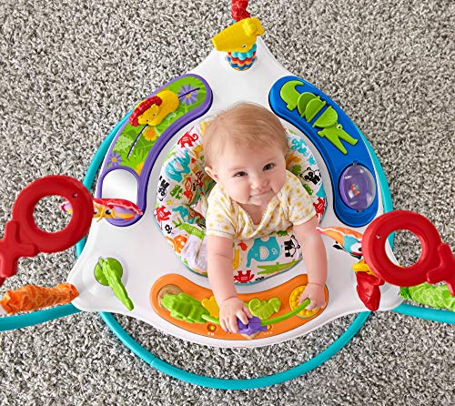 Fisher-Price Baby Bouncer Animal Activity Jumperoo With Music Lights Sounds And Developmental Toys For Infants