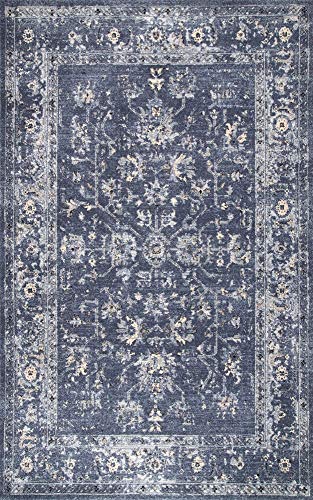 nuLOOM Vera Distressed Florid Area Rug, 9' x 12', Blue