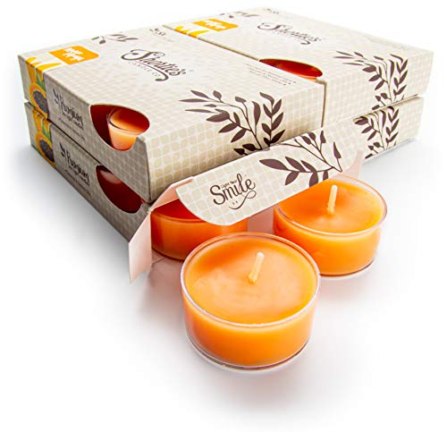 Mango & Papaya Premium Tealight Candles Bulk Pack - 24 Orange Highly Scented Tea Lights - Beautiful Candlelight - Made in The USA - Fruit & Berry Collection