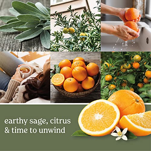 Yankee Candle Fragrance Spheres, Sage & Citrus