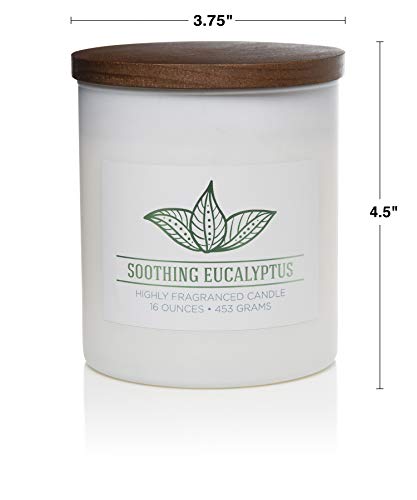 Colonial Candle Soothing Eucalyptus Scented Jar Candle, Wellness Collection, 2 Wick, 16 oz - Up to 120 Hours Burn