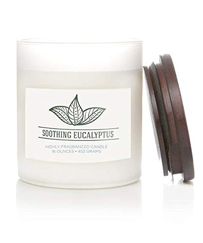 Colonial Candle Soothing Eucalyptus Scented Jar Candle, Wellness Collection, 2 Wick, 16 oz - Up to 120 Hours Burn