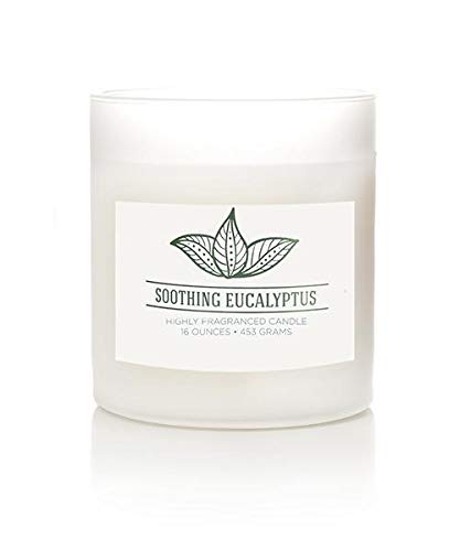 Colonial Candle Soothing Eucalyptus Scented Jar Candle, Wellness Collection, 2 Wick, 16 oz - Up to 120 Hours Burn