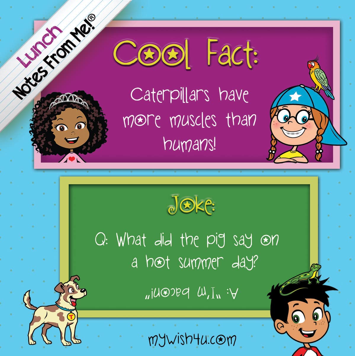 Notes From Me! Lunch Box Notes for Kids - Lunch Cool Facts & Jokes” - 101 tear-off Lunchbox Notes for Kids that Make Lunch Fun & Educational - Back to School Essentials - Holiday Gifts for Kids