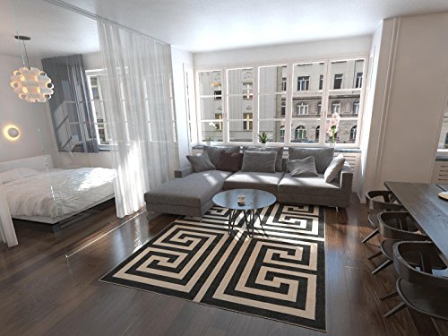 Unique Loom Athens Collection Classic Geometric Modern Border Design Area Rug, 7 ft x 10 ft, Black/Beige