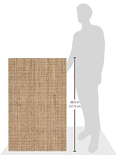 SAFAVIEH Natural Fiber Collection 2'3" x 4' Natural NF730C Handmade Farmhouse Premium Jute Accent Rug