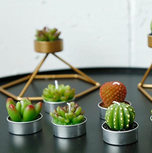 WISDOMTOY Holiday Party Succulents Mini Meat Plant Romantic Candle Decoration, Set of 6