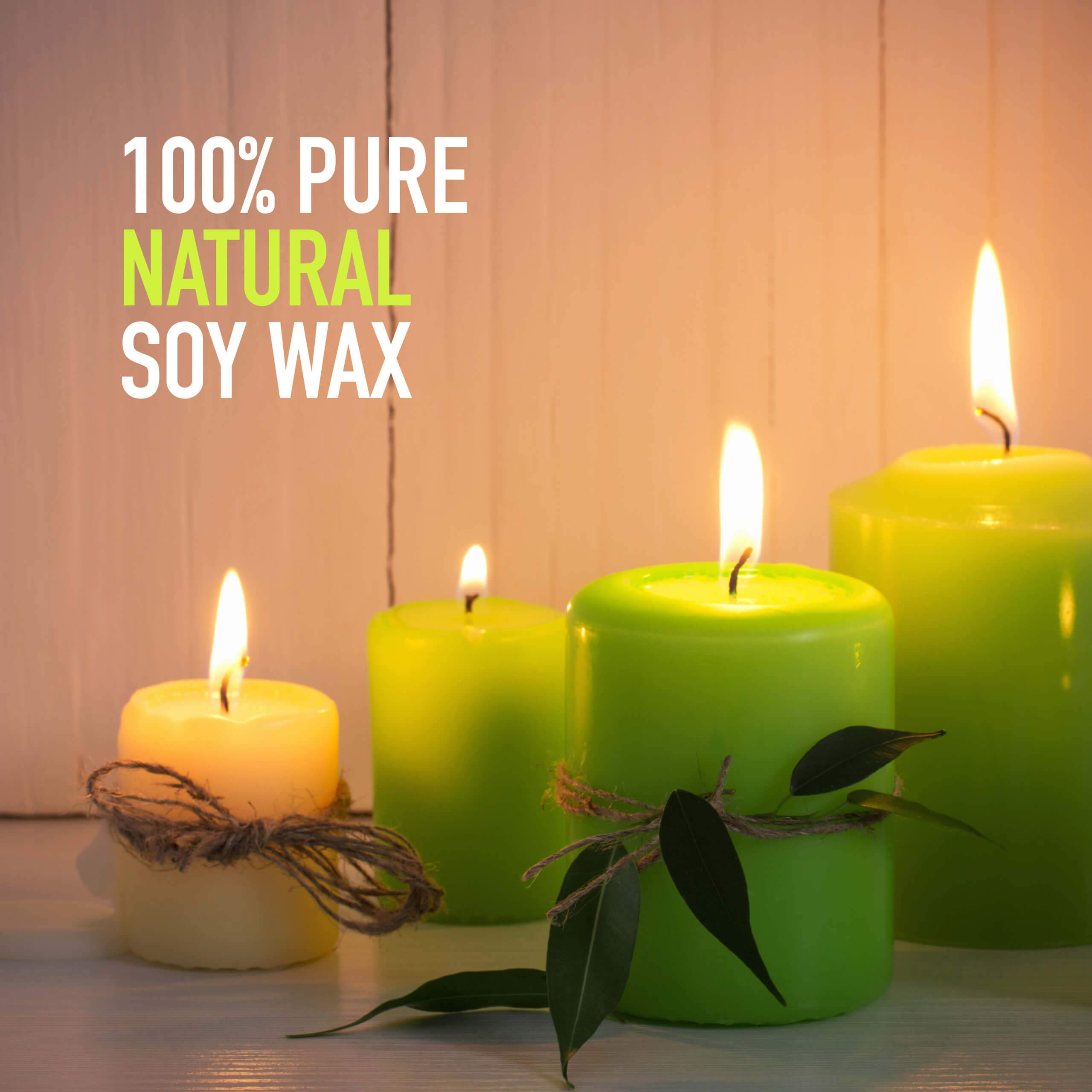 Oraganix DIY Candle Making Kit and Candle Making Supplies - 10 lbs Soy Candle Wax - 150 6-Inch Pre-Waxed Candle Wicks - 3 Metal Centering Devices - Bulk 10 lb Soy Wax Flakes