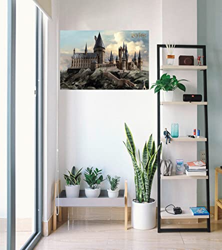 HARRY POTTER - Movie Poster Print (Hogwarts by Day) (Size: 36 inches x 24 inches)