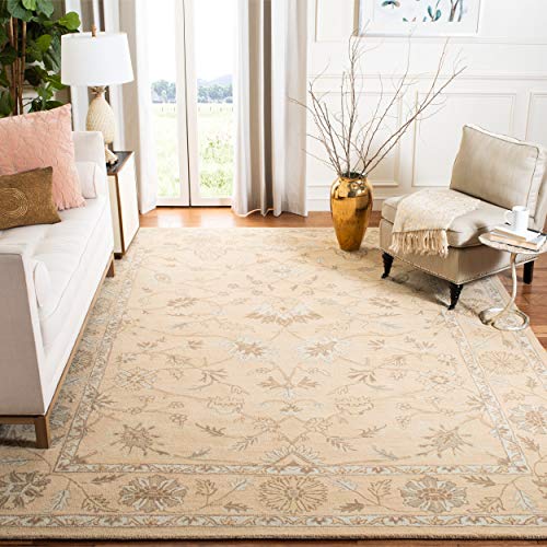 SAFAVIEH Wyndham Collection 8' x 10' Light Gold / Light Gold WYD205A Handmade Modern Premium Wool Area Rug