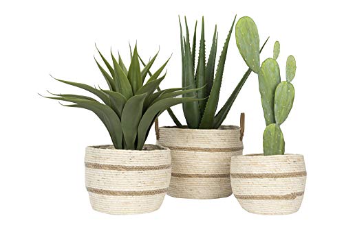 Creative Co-Op Beige & Brown Maize Baskets with Leather Handle (Set of 3 Sizes) Wicker Non-Food Storage, Brown