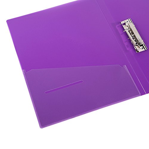 Filexec 6192, Clamp Binder, Frosted, Set of 6, 6 Assorted Colors Blueberry, Strawberry, Grape, Lime, Lemon, Tangerine (50028-6192)