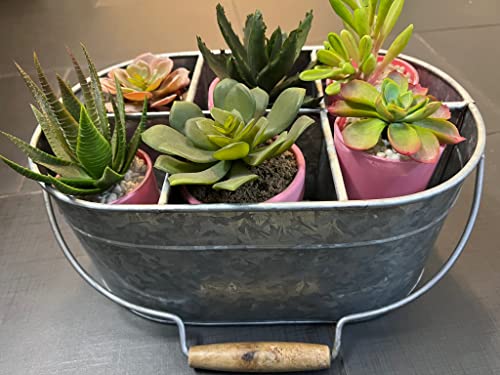 Hosley's Galvanized Carry All Kitchen Utensil Caddy Serve Ware 13 Inch Long. Ideal for Party Garden Patio. O4