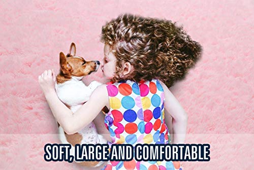 YOH Fluffy Pink Area Rugs for Bedroom Girls Rooms Kids Rooms Nursery Decor Mats 2.6βx5.3β