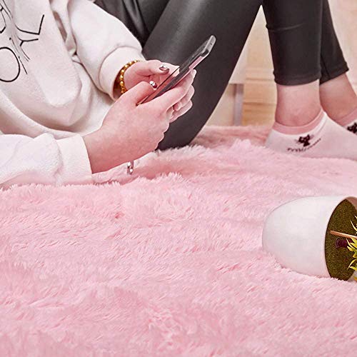 YOH Fluffy Pink Area Rugs for Bedroom Girls Rooms Kids Rooms Nursery Decor Mats 2.6βx5.3β