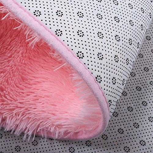 YOH Fluffy Pink Area Rugs for Bedroom Girls Rooms Kids Rooms Nursery Decor Mats 2.6βx5.3β