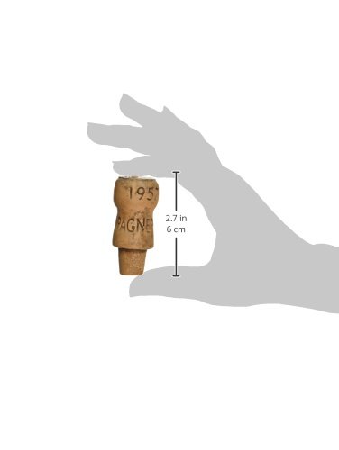 Paperproducts Design Champage Candles, Champagne Corks