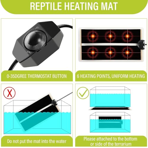 Reptile PC Terrarium, Amphibians Habitat Cages 12 x 8 x 6.3 Starter Kits, Top Sliding Door Ventilation Tanks with Heating Mat, Stainless Steel Tweezer