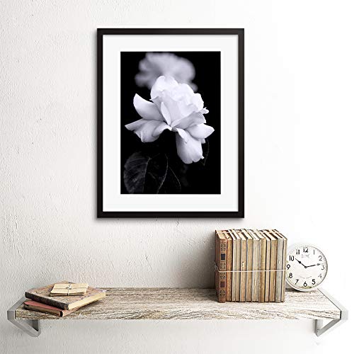 The Art Stop Photo Nature Black White Rose Petal Flower Framed Print F12X4204
