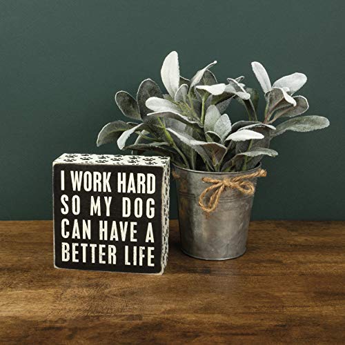 Primitives by Kathy 21490 Pawprint Trimmed Box Sign,Wood, Paper, 5" Square, Dog Can Have a Better Life , White