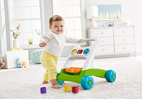 Fisher-Price Busy Activity Walker