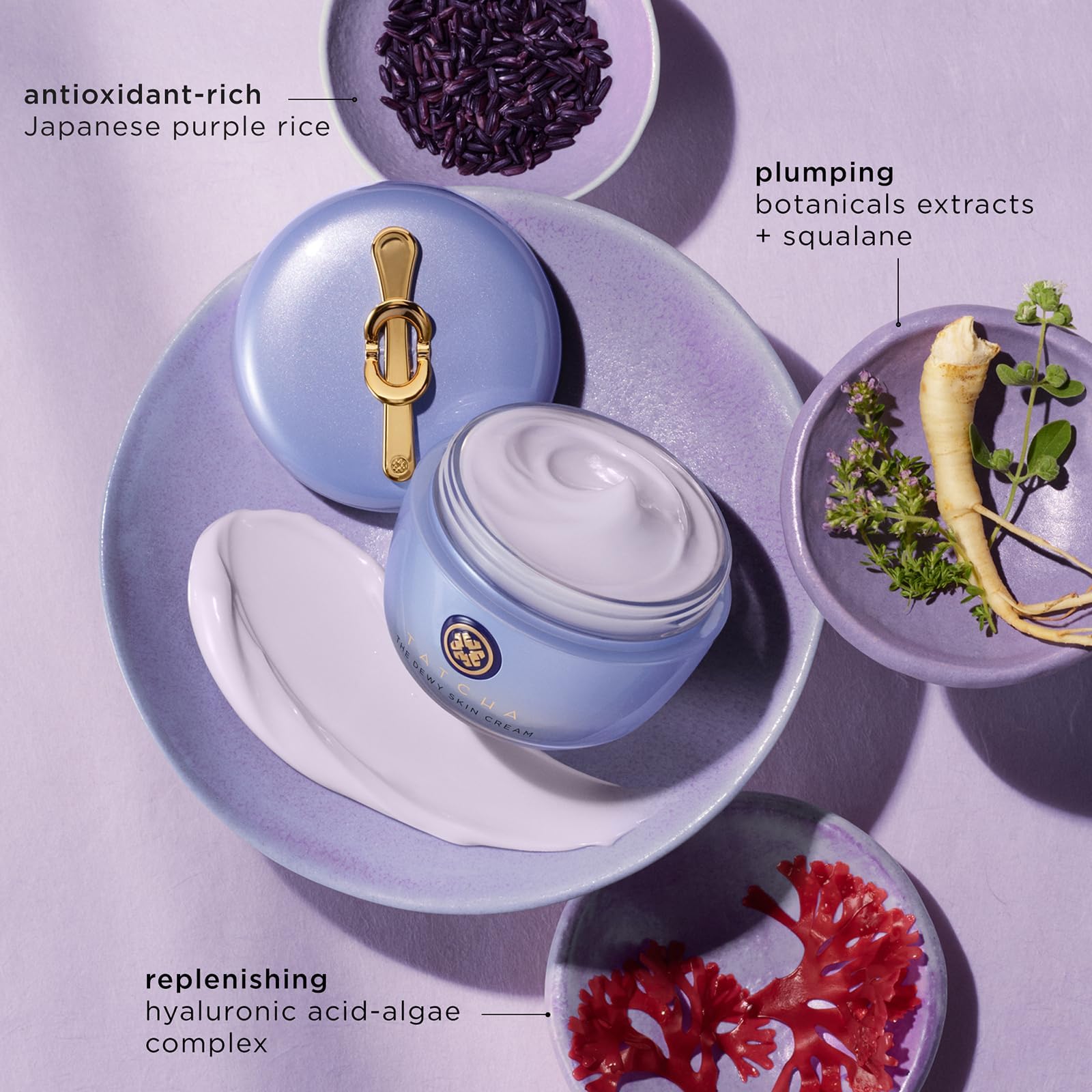 TATCHA The Dewy Skin Cream | Rich Face Cream to Hydrate, Plump and Protect Dry and Combo Skin | 10 ml / 0.34 oz