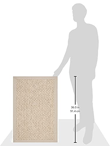 SAFAVIEH Natural Fiber Collection 2' x 3' Marble NF525C Premium Sisal Accent Rug