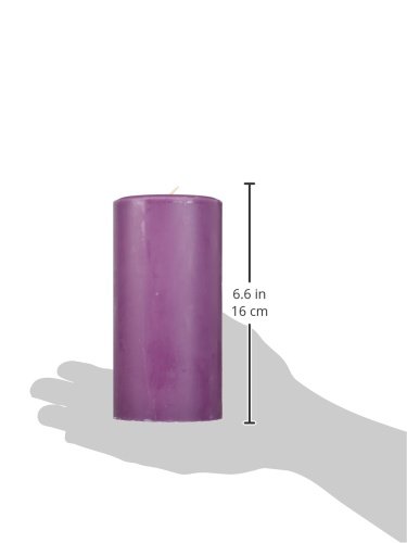 Northern Lights Candles Plum Orchid & Dahlia Fragrance Palette Pillar Candle, 3 x 6