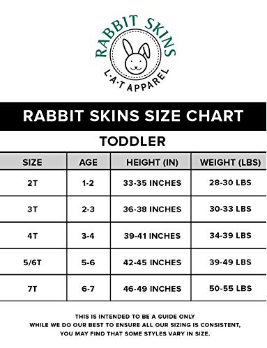 RABBIT SKINS Toddler Fleece Long Sleeve Pullover Sweatshirt, Heather, 4T
