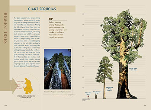 Compass American Guides: Yosemite and Sequoia/Kings Canyon National Parks (Full-color Travel Guide)