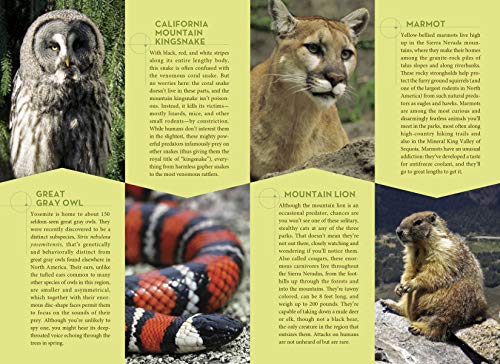 Compass American Guides: Yosemite and Sequoia/Kings Canyon National Parks (Full-color Travel Guide)