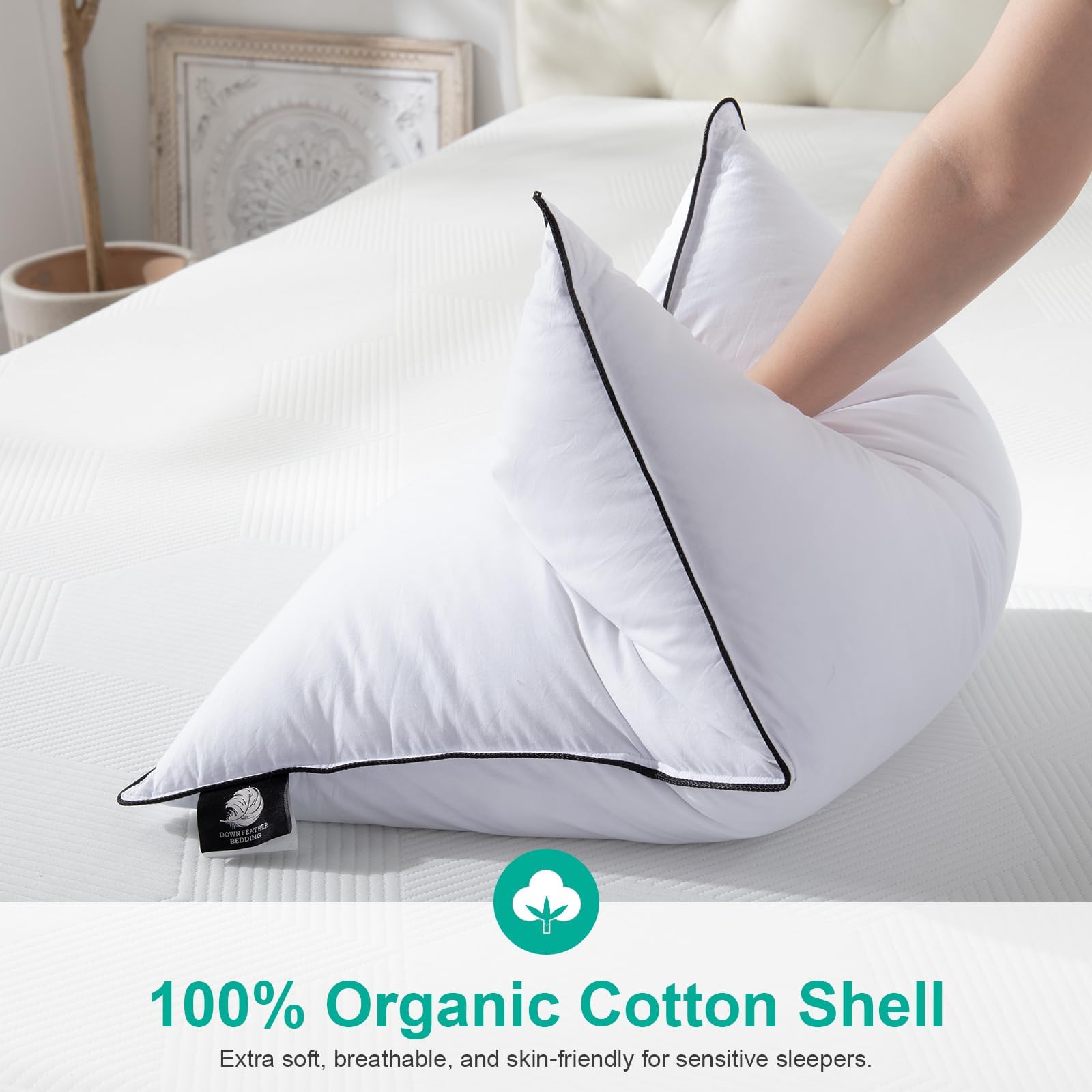 APSMILE Medium Firm Feather Down Pillows Standard Size Set of 2, Luxury Feather Pillow for Sleeping, Organic Cotton Cover Hotel Collection Bed Pillow (White, 20"x26")