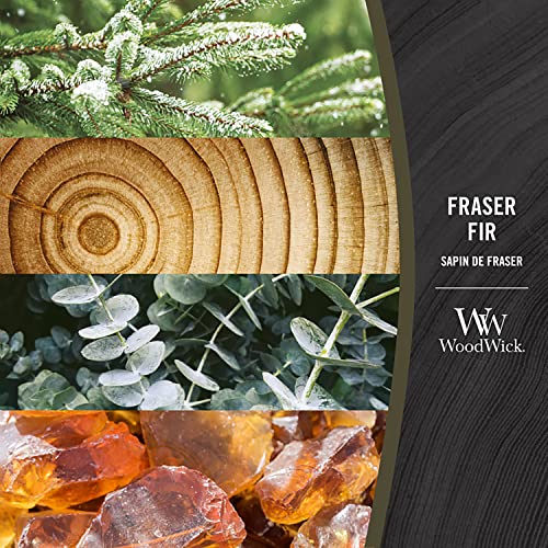 Woodwick Ellipse Scented Candle, Frasier Fir, 16oz | Up to 50 Hours Burn Time