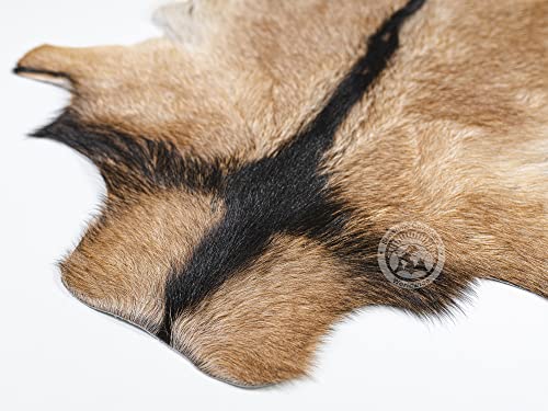 Sunshine Cowhides Genuine Goatskin Rug Goat Skin Goat Hide Goat Skin Rug Exotic 2 x 3 ft.