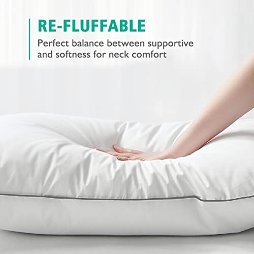 APSMILE Goose Feather Down Pillows -Single Pack Soft Bed Pillows for Sleeping 100% Organic Cotton Standard Size Hotel-Quality Pillows Insert for Stomach/Back Sleepers
